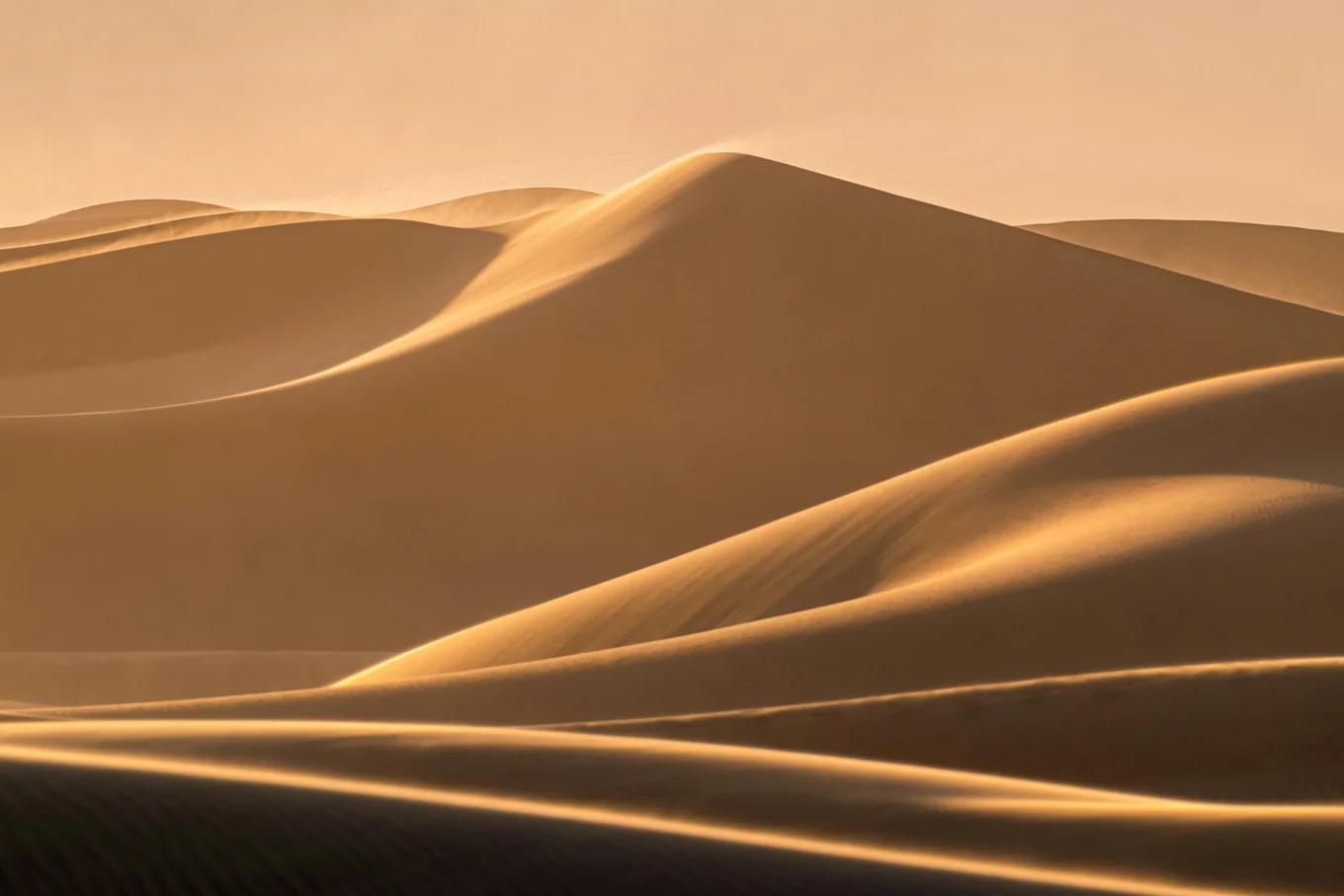 Tarides | Introducing the Dune Developer Preview: A New Era for OCaml ...